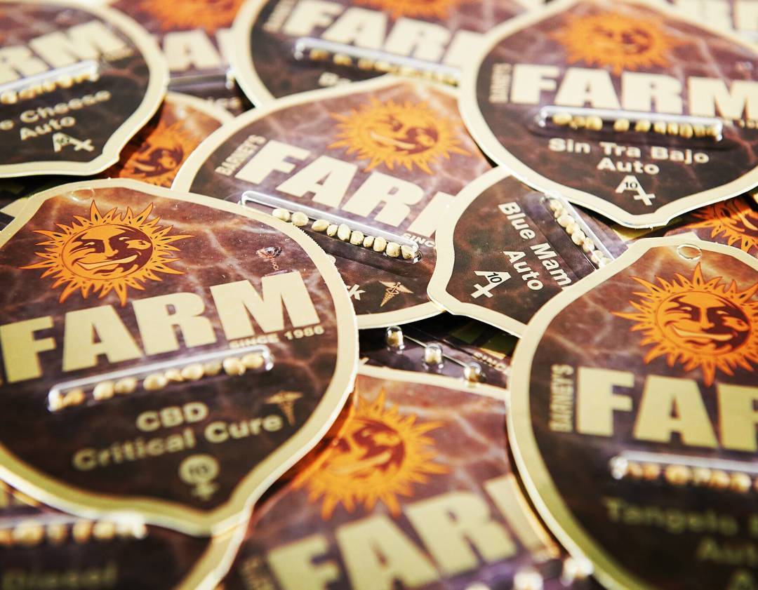 Barney's Farm Bank | Seeds For Sale | Green Parrot