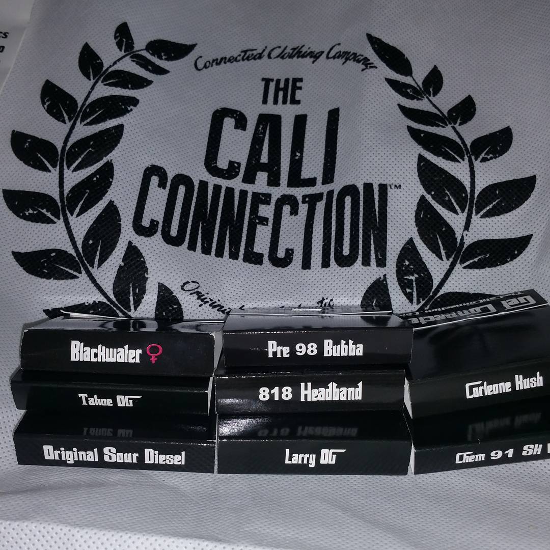 The Cali Connection Bank | Seeds For Sale | Green Parrot