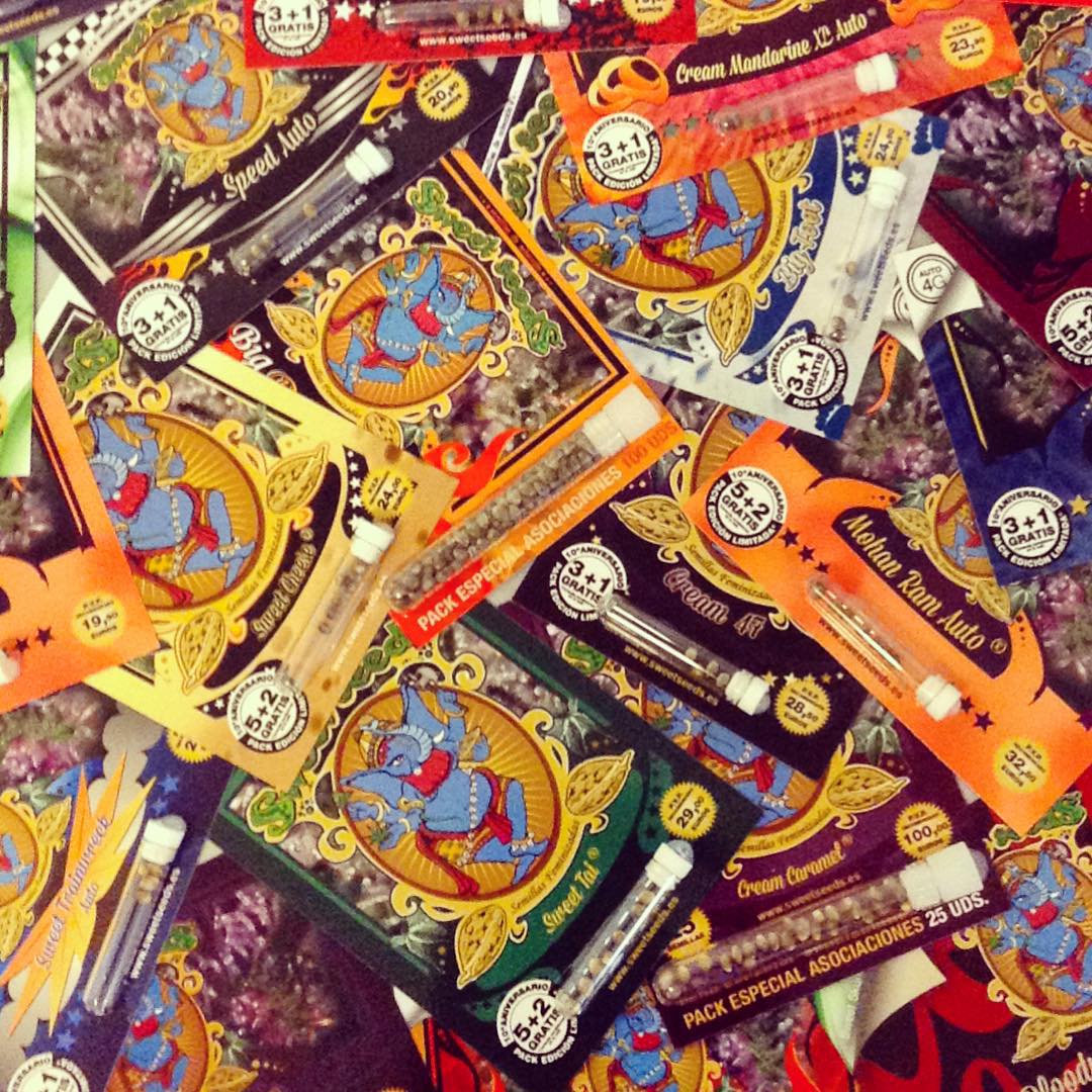 Sweet Seeds Bank | Seeds For Sale | Green Parrot