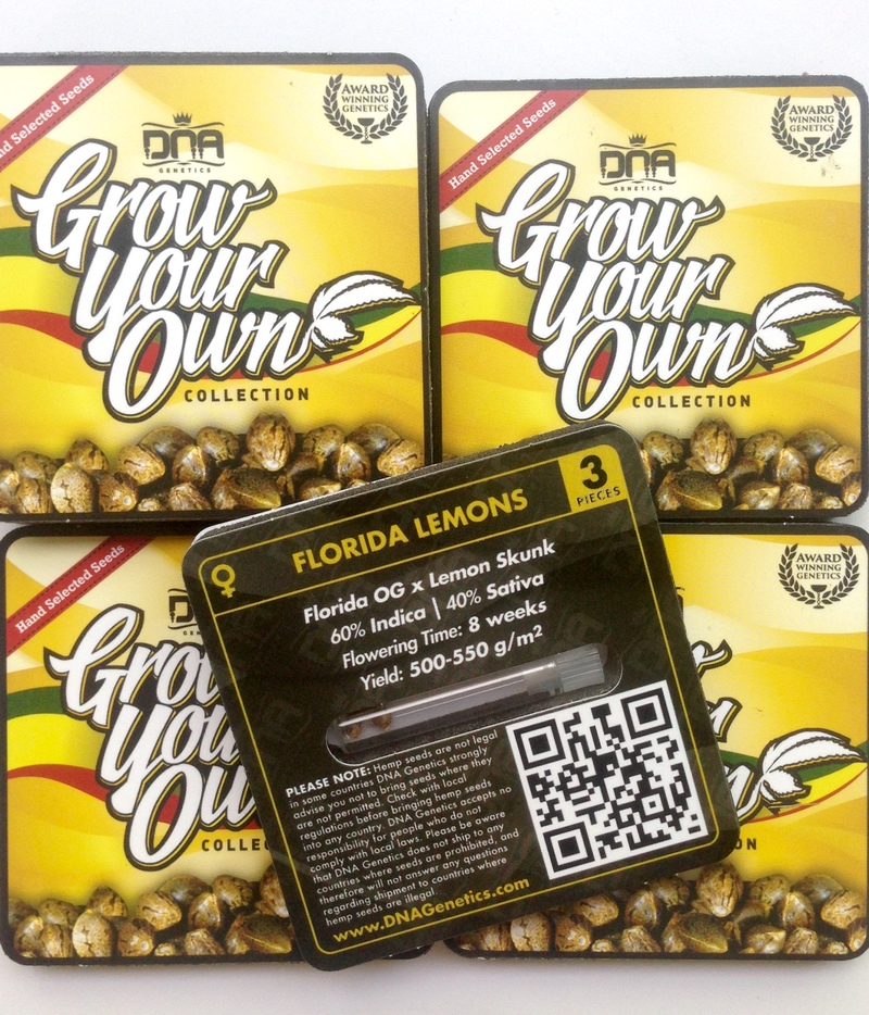 Florida Lemons Photoperiod Cannabis Seeds from Grow Your Own ...