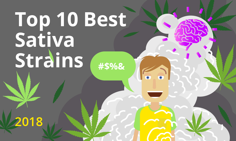Top 10 Best Sativa Strains 2018 | Blog | Green Parrot